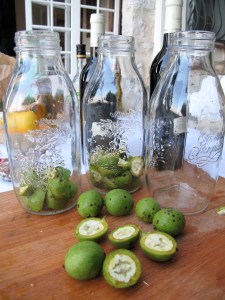 Vin de Noix (walnut wine) – Jane Levi
