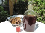 Vin de Noix (walnut wine) – Jane Levi