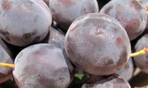Damson chutney – Jane Levi