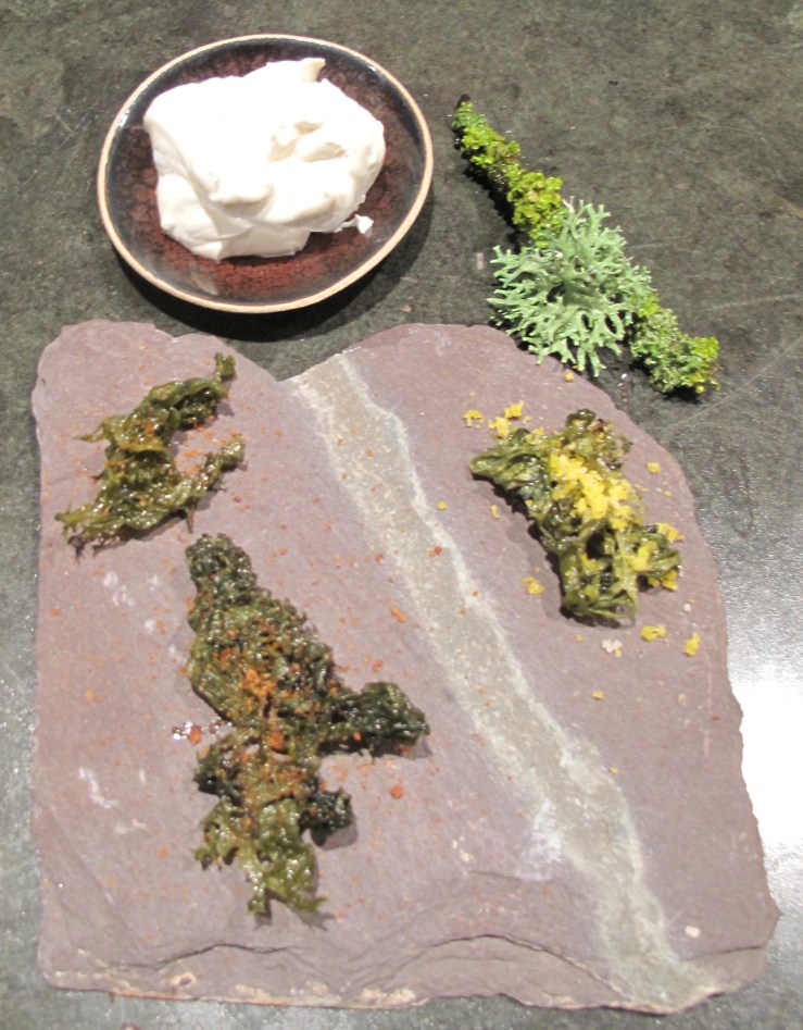 Crispy lichens and cured egg yolks – the forbidden experiment? – Jane Levi