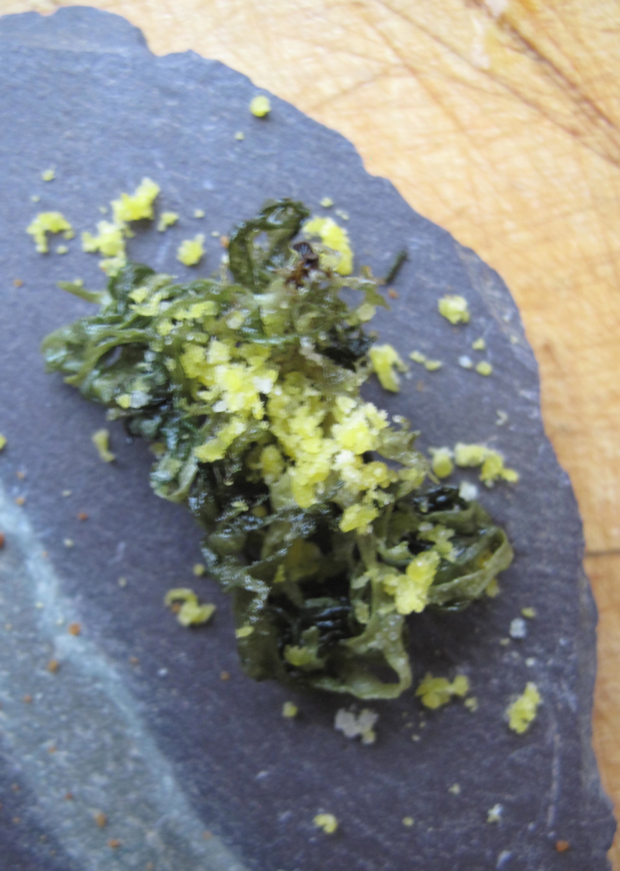 Crispy lichens and cured egg yolks – the forbidden experiment? – Jane Levi